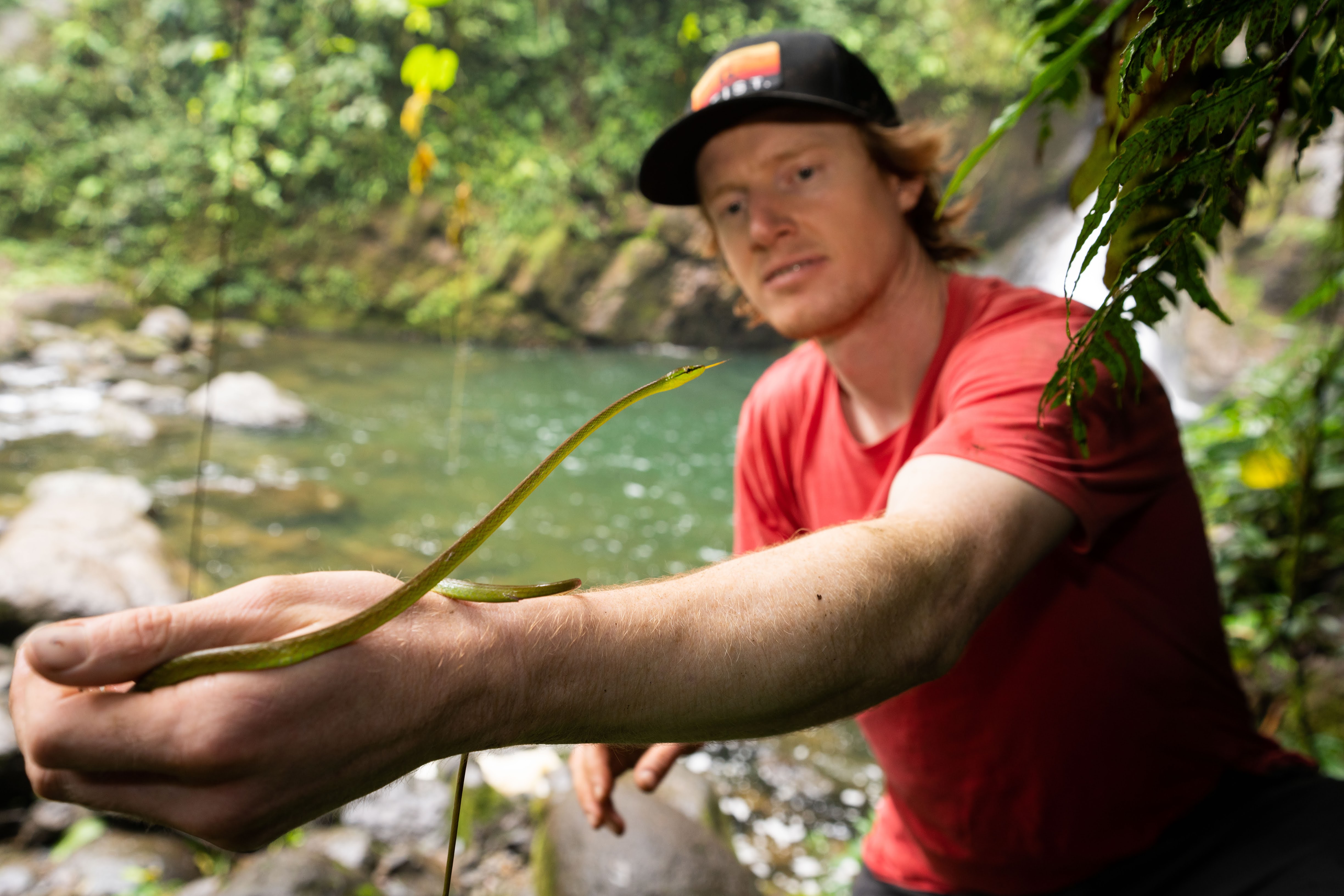 Dawson White | Plant Diversity and Ecology Lab
